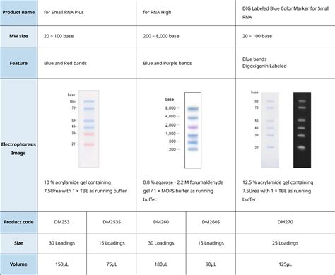Prestain Marker For Rna Products Bdl・biodynamics Laboratory Inc