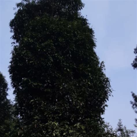 Krishna Matta Assistant Professor Vignan University Guntur