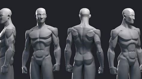 Anatomie Male Drawing Drawing Anatomy Muscles Anatomy Poses