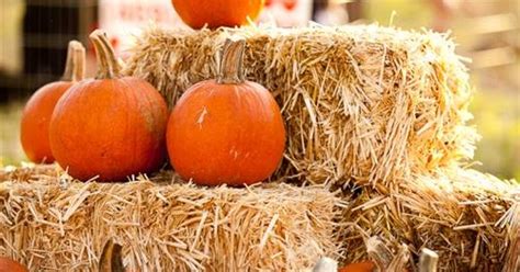 Inside The Ozarks Kickapoo High School To Hold 17th Annual Fall Carnival