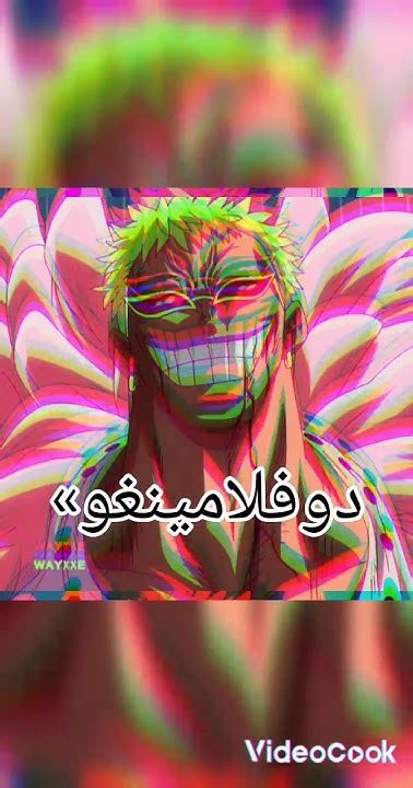 دوفلامينغو Youtube