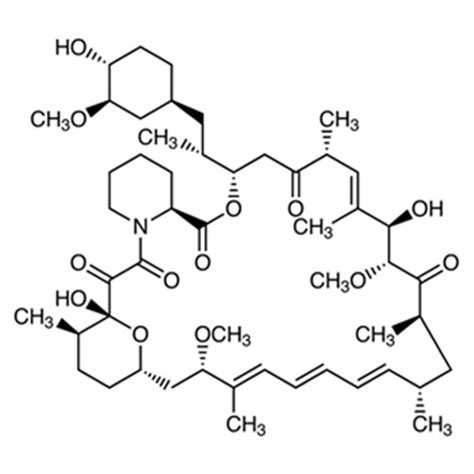 Cas No 53123 88 9 Rapamycin