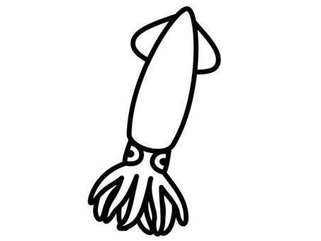 Squid Clip Art Black And White Squid Ink Vector Art Icons And