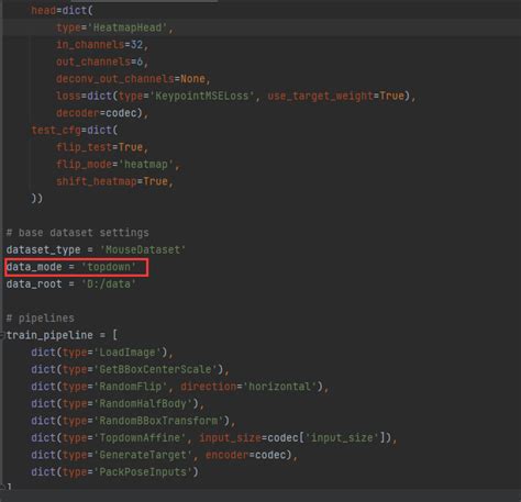Bug Run Train Py Typeerror Issue Open Mmlab Mmpose Github