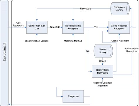 Rationally Reconstructed Ais Model Formalized Using Sadt Notation