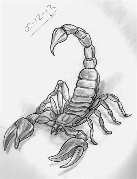 Scorpion Tattoo Sketch At Explore Collection Of