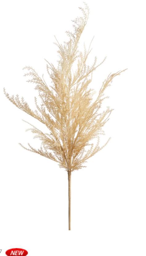 Tall Pampas Grass Spray Marketonmainnc