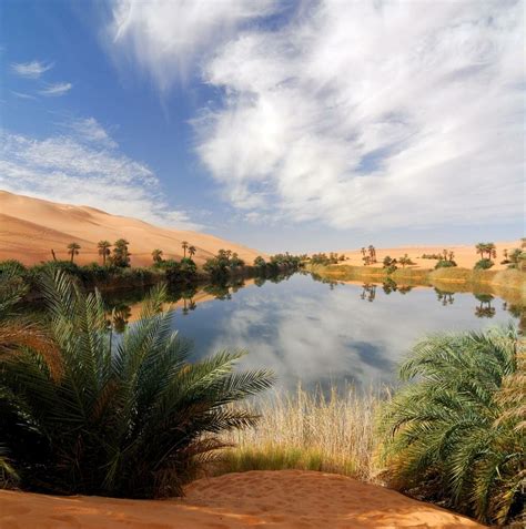 Hydromin Al Dabbagh Group