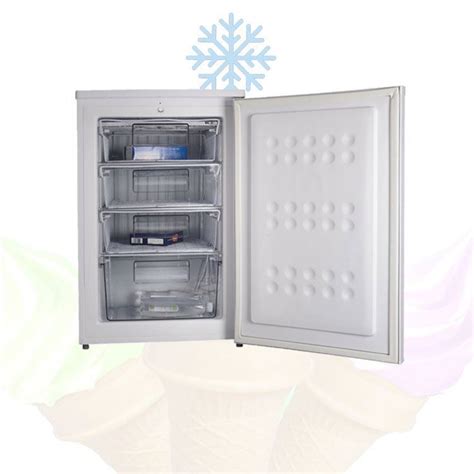 Thermoelectric Compressor Fridge Lockable Mini Fridge R134a Deep