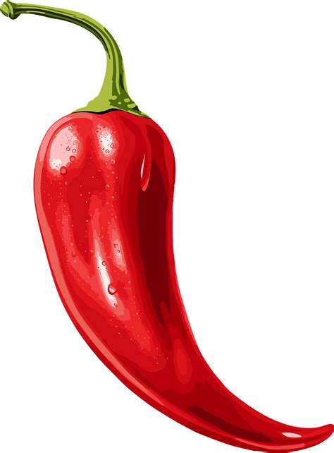 Chili Vector Png