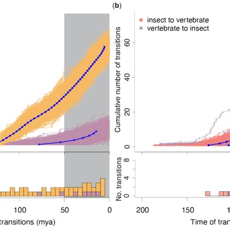 Pdf Insects Pollinated Flowering Plants For Most Of Angiosperm Evolutionary History