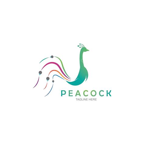 Peacock Logo Design Vector Template Trendy Color Style Vector Trendy
