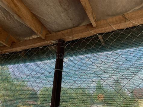 Installation Of Mosquito Netting Stock Image Image Of Plastic Protection 331538515