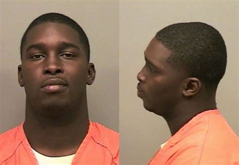 Clipart Panda Free Clipart Images