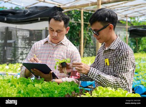 Smart Agriculture Technology Concept Farmer Monitoring Organic