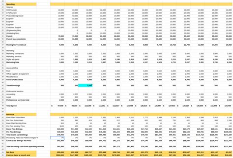 Declining Budget Template