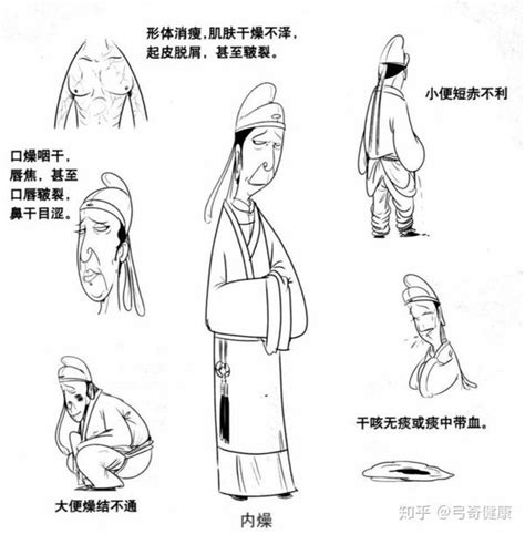 中医理论——内生五邪 知乎