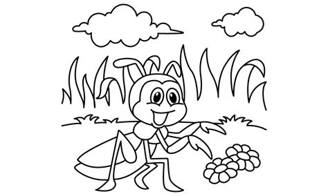 Funny Grasshopper Cartoon Coloring Page Graphic By Ningsihagustin426 · Creative Fabrica