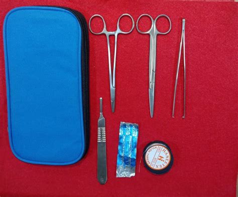 Stainless Steel Veterinary Surgical Instruments Kit At Rs 380piece In