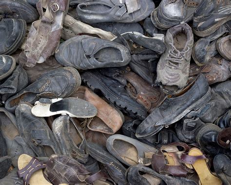 Froginsectgarbage Classifier V6 At Main