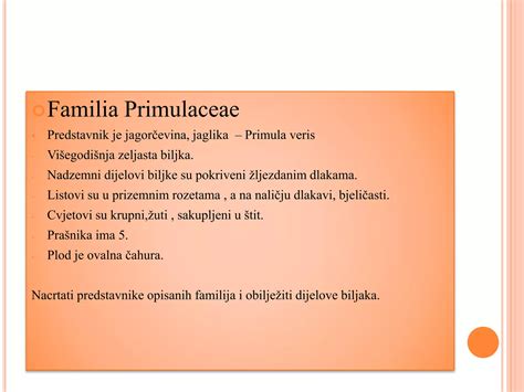 Familia Brassicaeae Ili Cruciferae Krstašice Pptx