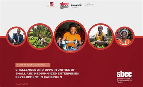 Challenges And Opportunities Of Small And Medium Sized Enterprises