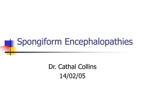 Ppt Sponorm Encephalopathies Powerpoint Presentation Free Download Id3622962