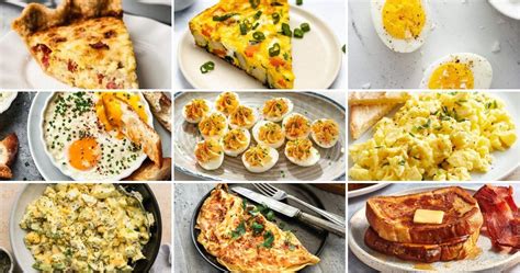 30 Simple Basic Egg Recipes Delicious Raw Foods Bible