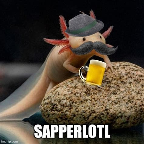 Zefix Is Des A Raeiou