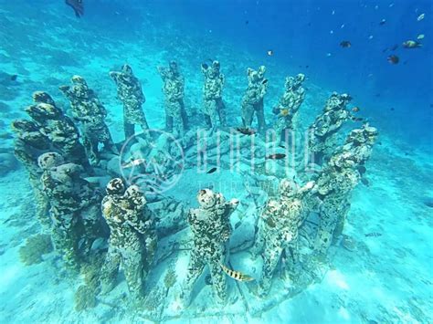 발리 길리섬 스노클링 투어 투어비스 투어and티켓