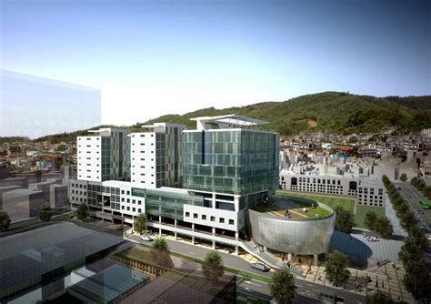 Đại Học Donga University Ngôi Trường Danh Tiếng Tại Busan