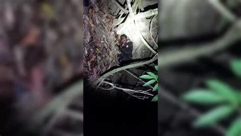 Veja O Que Se Sabe Sobre O Caso Da Mãe Que Confessou Ter Matado As
