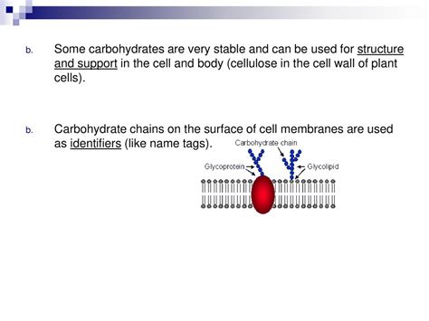 Cellular Chemistry Unit 2 Module Ppt Download