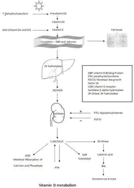 Vitamin D3 25 Hydroxyvitamin D Reference Range Interpretation