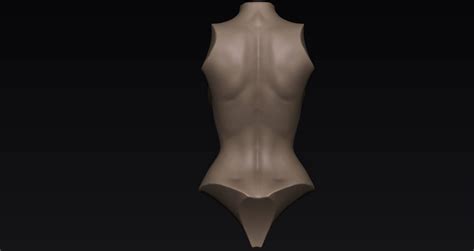 Female Torso 6 3d Model By Grihaos001