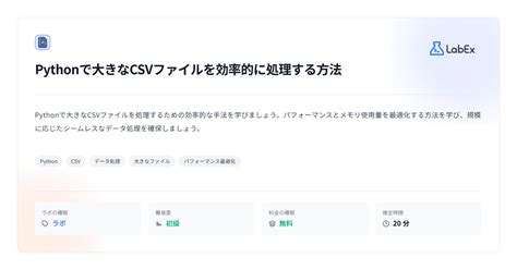 Python で大規模 Csv ファイルを効率的に処理する方法 大容量 Csv データ処理の最適化 Labex