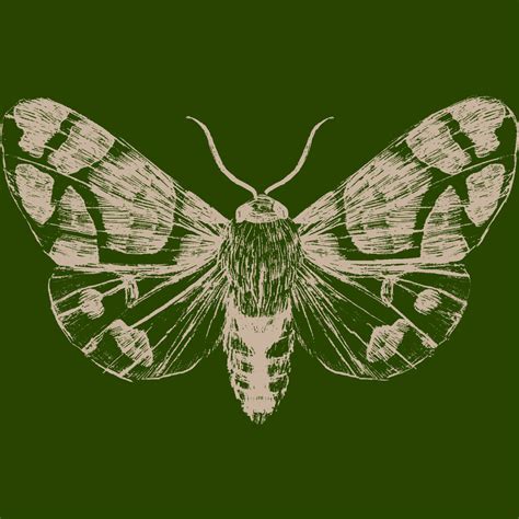 Beautiful Moth Drawing On Dark Green Background