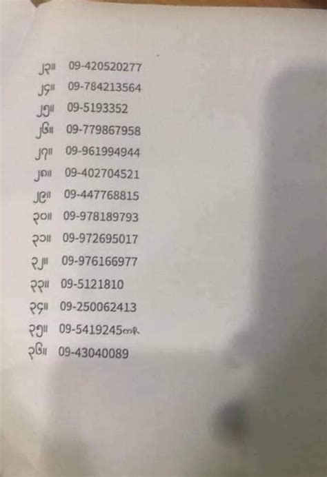 သွေးသစ်တို့ရဲ့ လက်နက်ကိုင်တော်လှန်ရေးနဲ့ အတွေးအခေါ်ပိုင်းဆိုင်ရာ တည