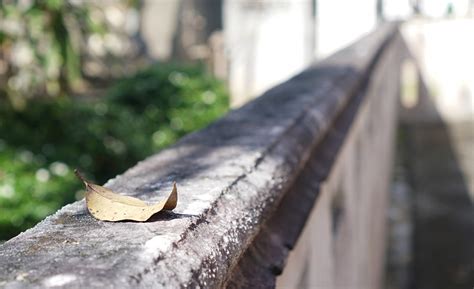 Quest Ce Quun Couvre Mur Mon