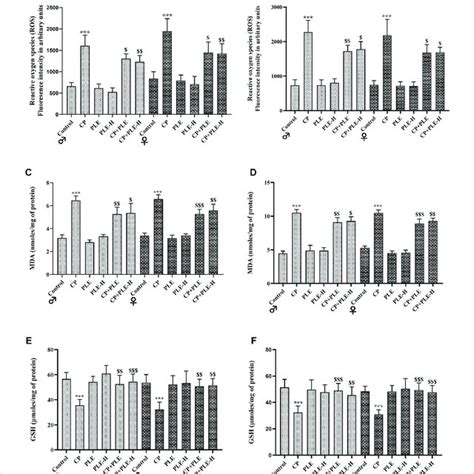 Influence Of The Piper Longum Ethanol Extract And The Piper Longum