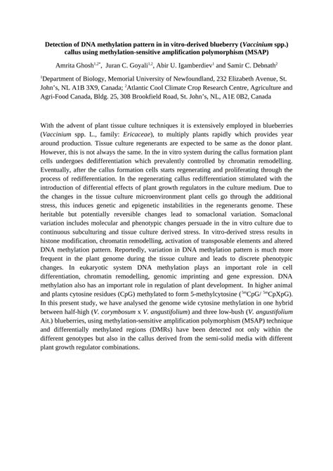 Pdf Detection Of Dna Methylation Pattern In In Vitro Derived Blueberry Vaccinium Spp Callus