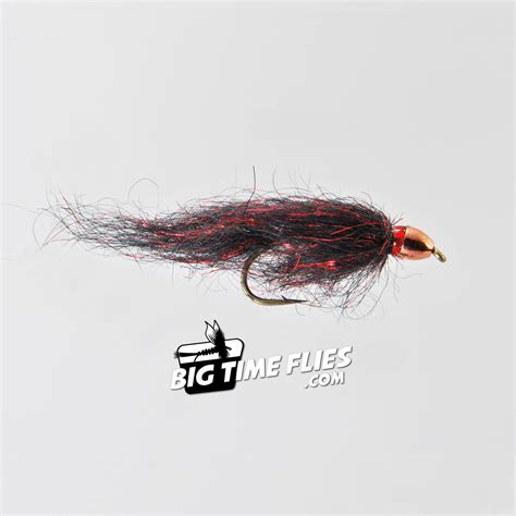 Ruby Eyed Leech Blackred Bigtimeflies