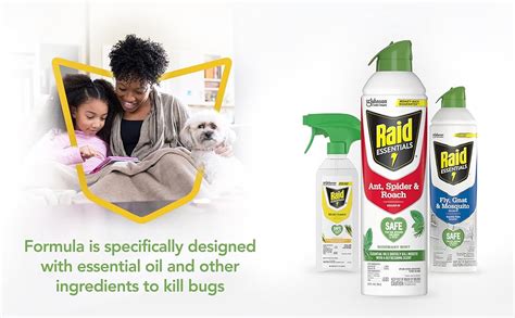 Raid Essentials Ant Spider And Roach Killer Aerosol Spray