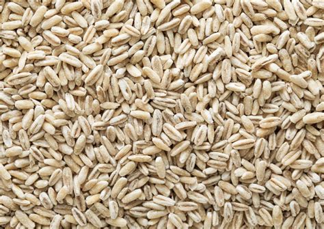 Dry Raw Organic Healthy Oat Grain Seeds Textured Backgroundmacro Stock