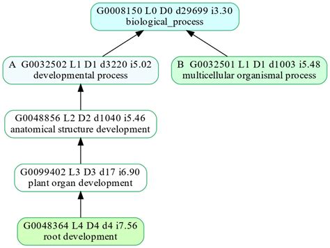 Lin S Similarity Measure Might Be Implemented Incorrectly In GOATOOLS Outputs Negative Values