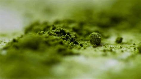 Mthfr Methylfolate Vs Folic Acid Key Differences Explained