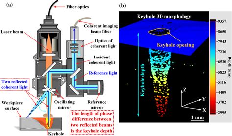 Coherent Optical Imaging Measurement A Principle B Result Download
