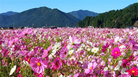 「be Kobe」モニュメントっていくつある？ Feel Kobe 神戸ジャーナル