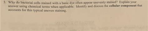 Solved Why Do Bacterial Cells Stained With A Basic Dye Often