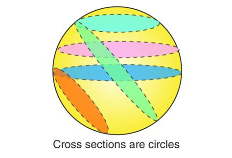 Cross Section Meaning Definition Types Area And Examples